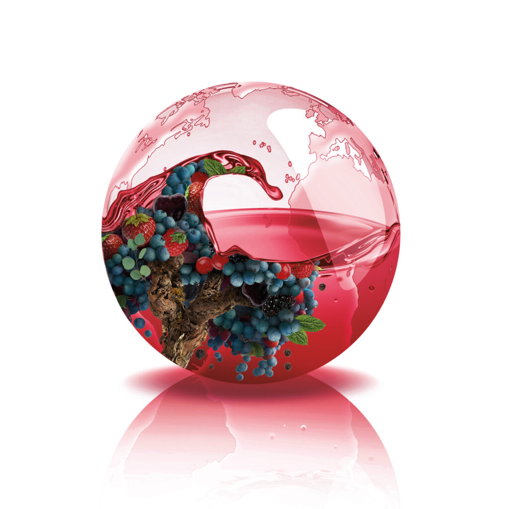 Winemaking yeasts - ZYMAFLORE™ - alcoholic fermentation - LAFFORT®